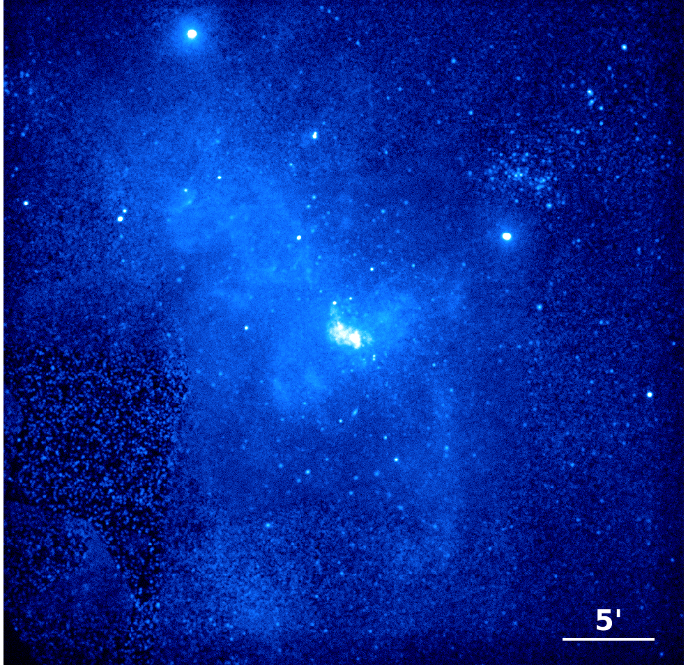 WFI – INAF OAS Bologna