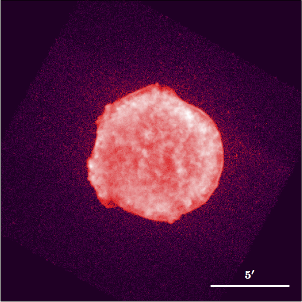 WFI – INAF OAS Bologna
